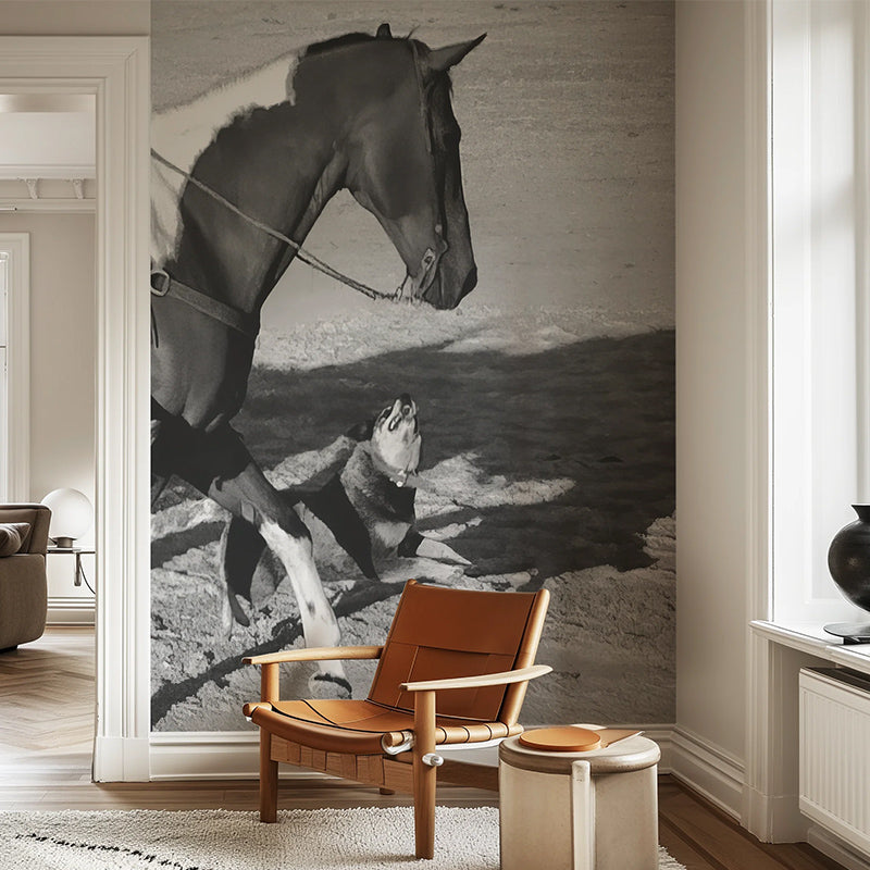 Photo Murals – Walls of Wisdom